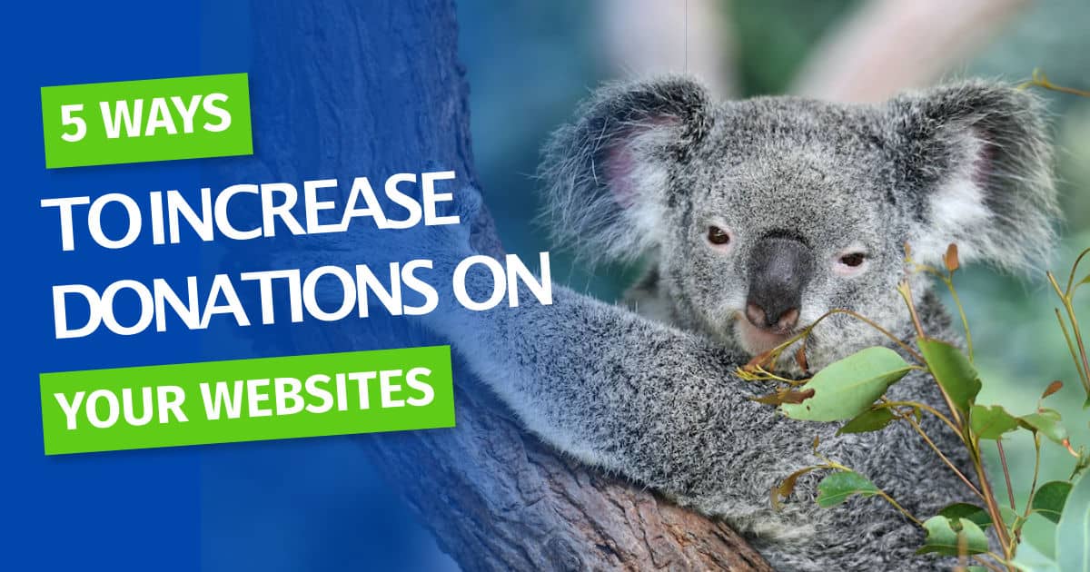 5 Ways to Increase Donations On Your Website